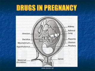DRUGS IN PREGNANCY | PPT