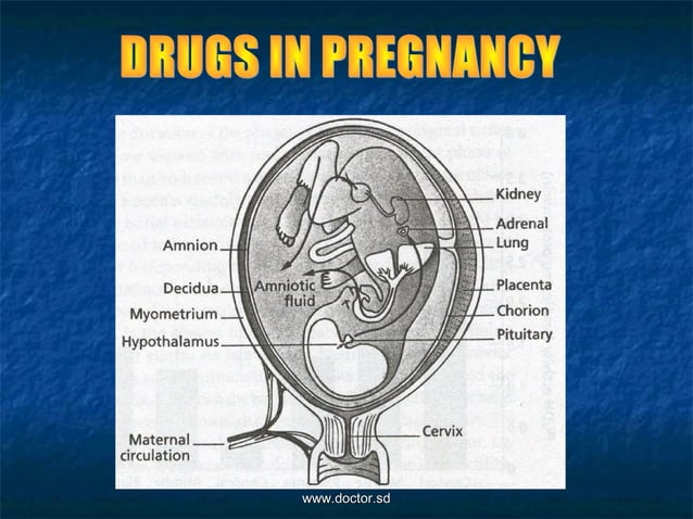 DRUGS IN PREGNANCY | PPT | Pregnancy | Reproductive Health