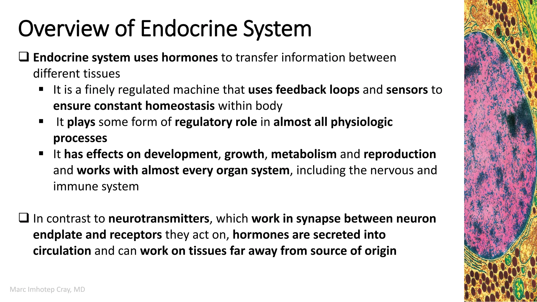 Drugs Used in Disorders of the Endocrine System, Lectures 1 through 6 | PDF