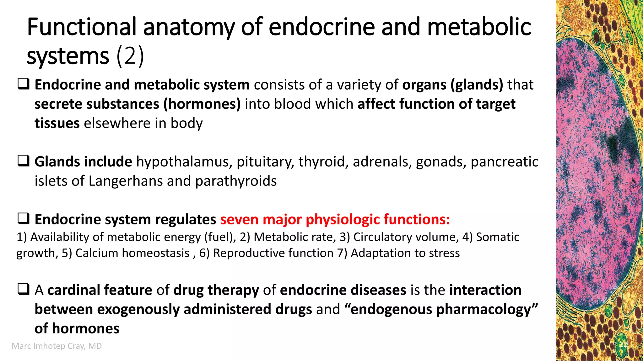 Drugs Used in Disorders of the Endocrine System, Lectures 1 through 6 | PDF