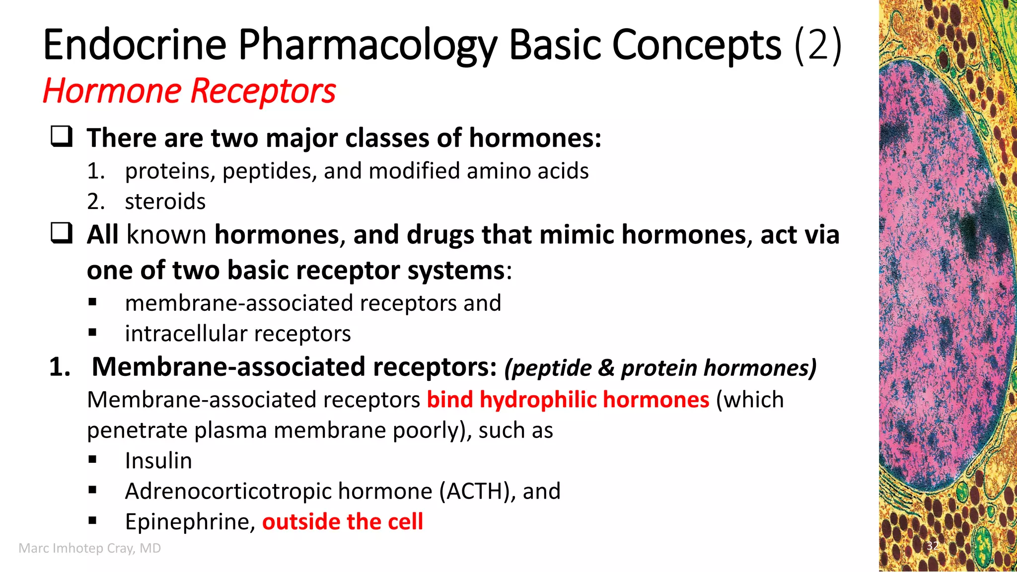 Drugs Used in Disorders of the Endocrine System, Lectures 1 through 6 | PDF