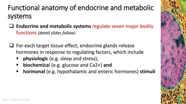 Drugs Used in Disorders of the Endocrine System, Lectures 1 through 6 | PDF | Endocrine and ...