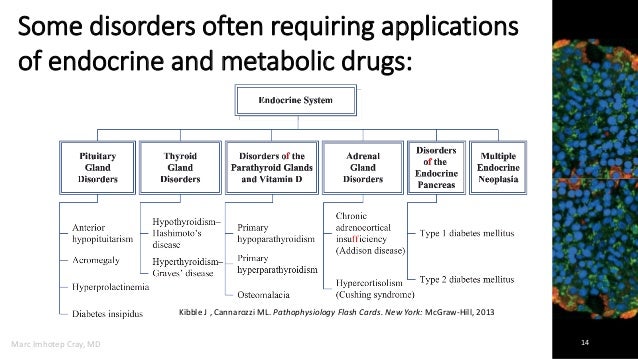 Drugs Used in Disorders of the Endocrine System, Lectures 1 through 6