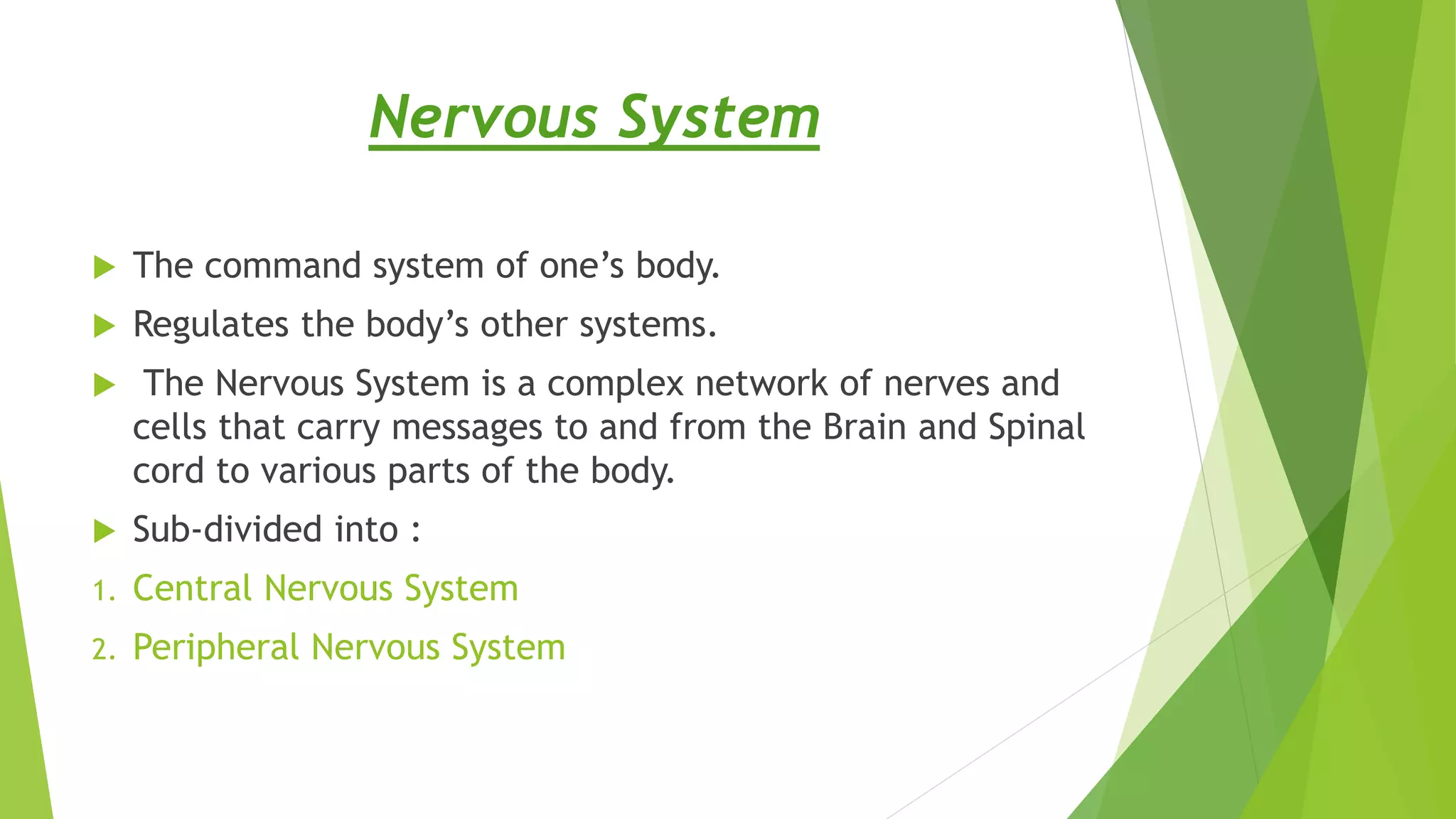 Drugs Acting on ANS by Aryan Patel | PPT