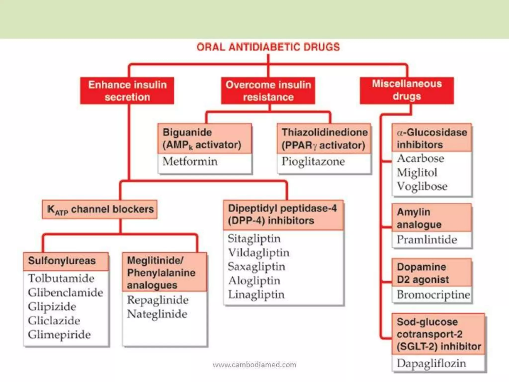 Drugs acting on Autonomic Nervous system | PPT
