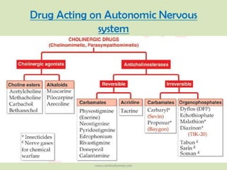 Drugs acting on Autonomic Nervous system | PPT