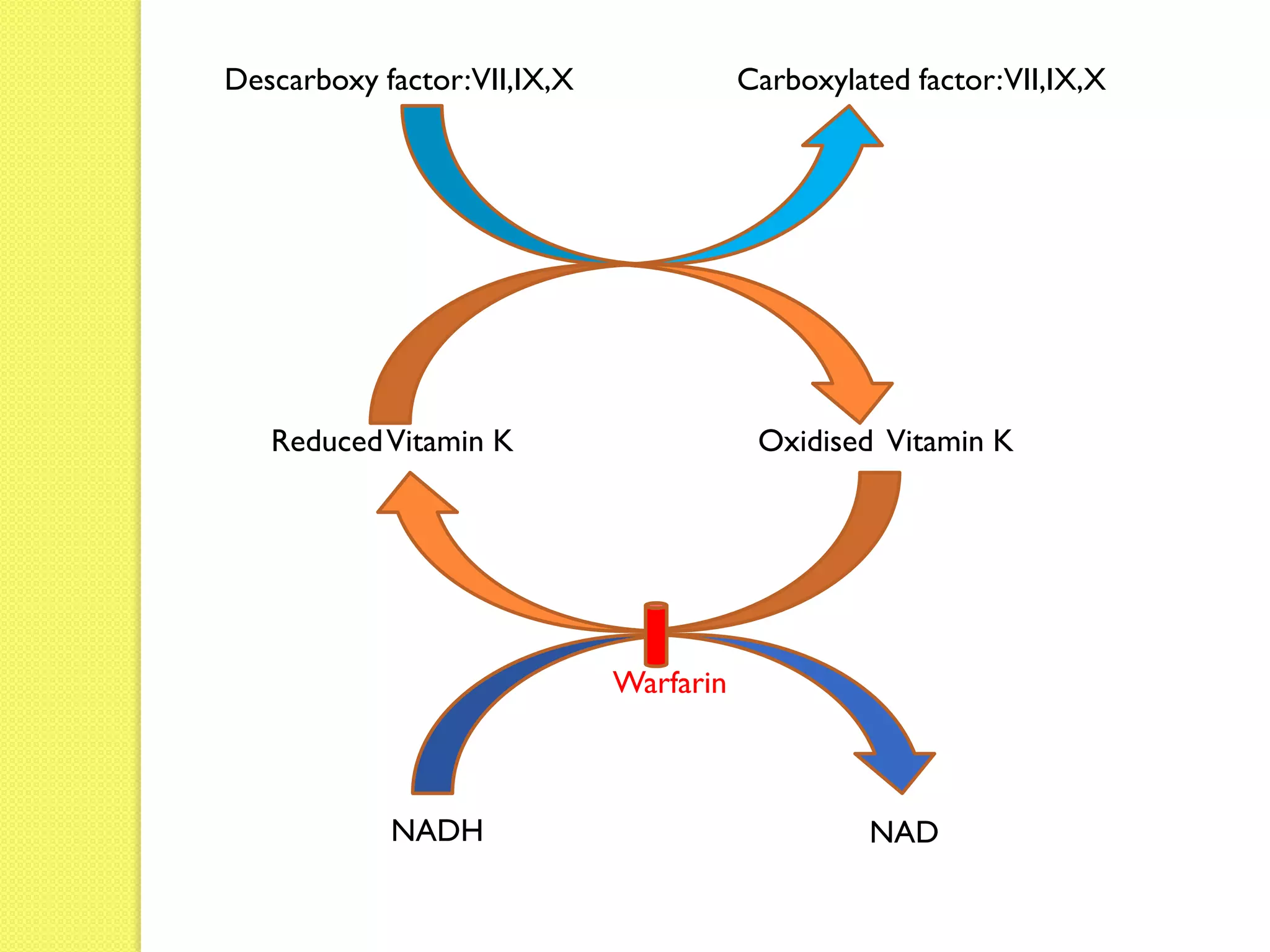 Drugs acting on blood and blood forming organs | PDF
