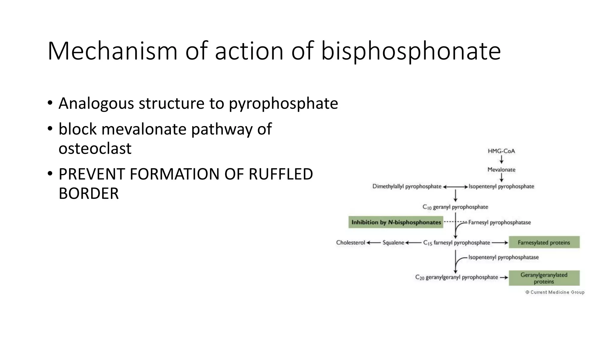 Drugs acting on bone | PDF