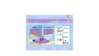 Drugs acting on bone | PDF