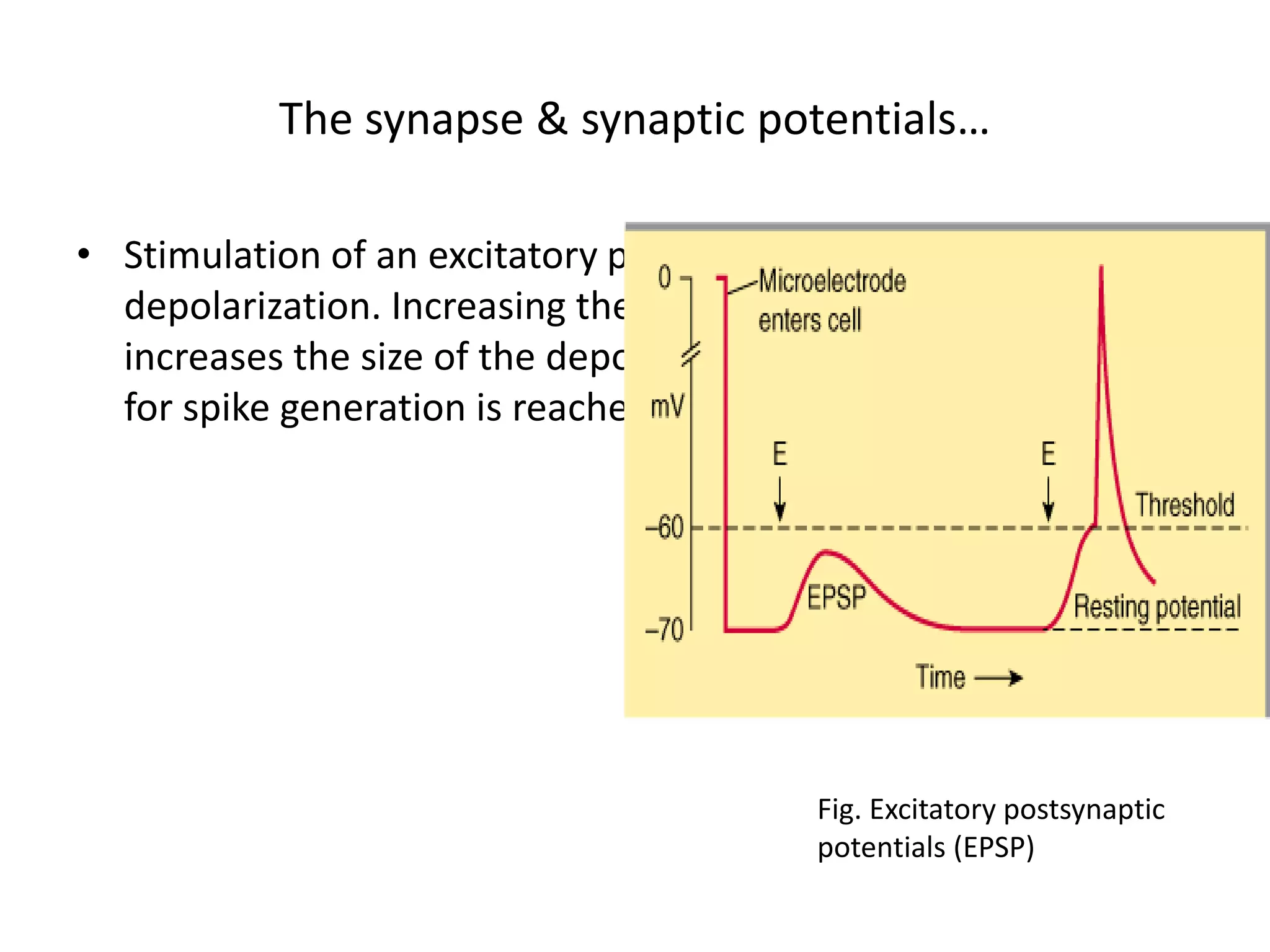 Drugs acting on central nervous system introduction.pptx