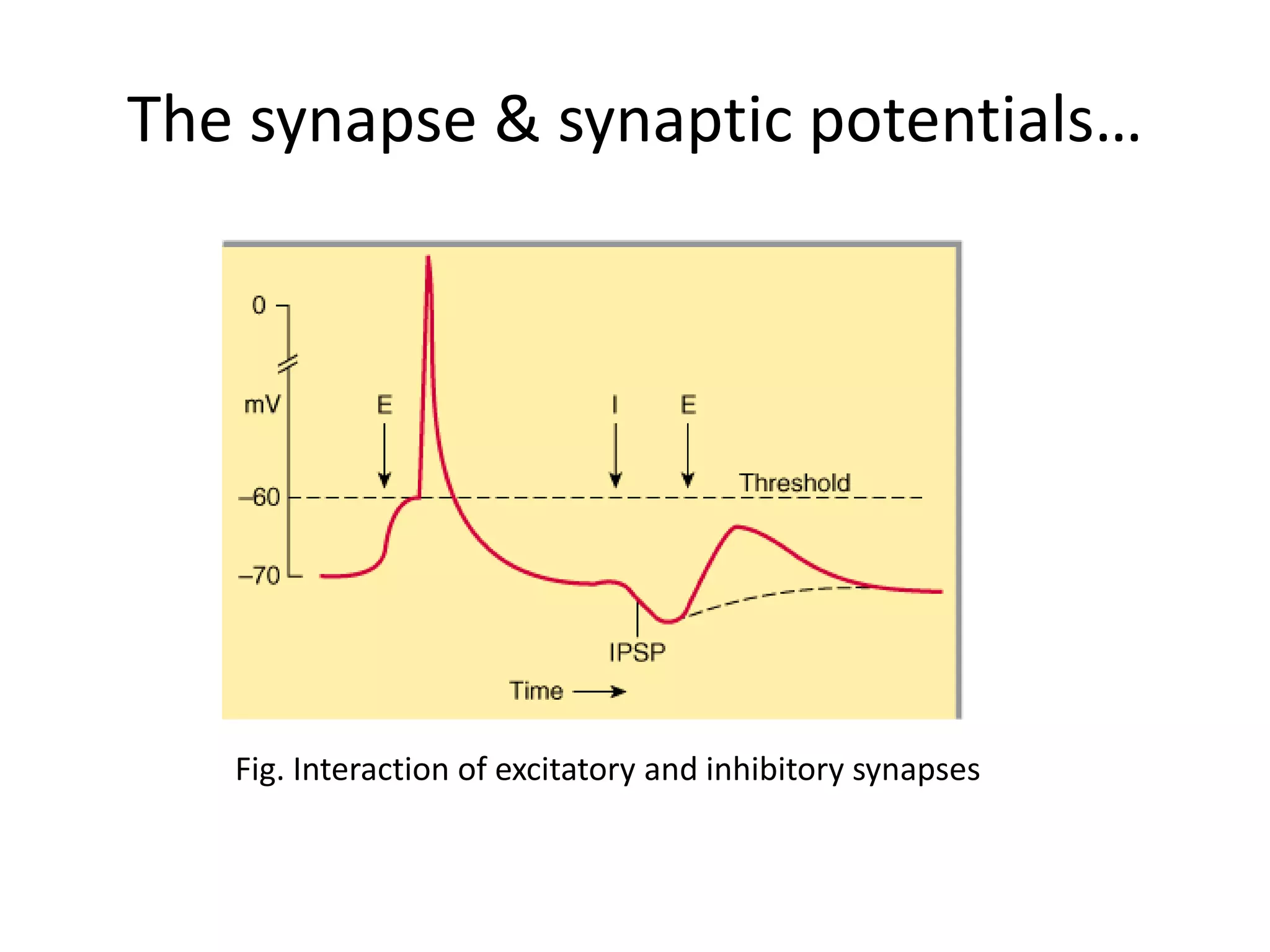 Drugs acting on central nervous system introduction.pptx