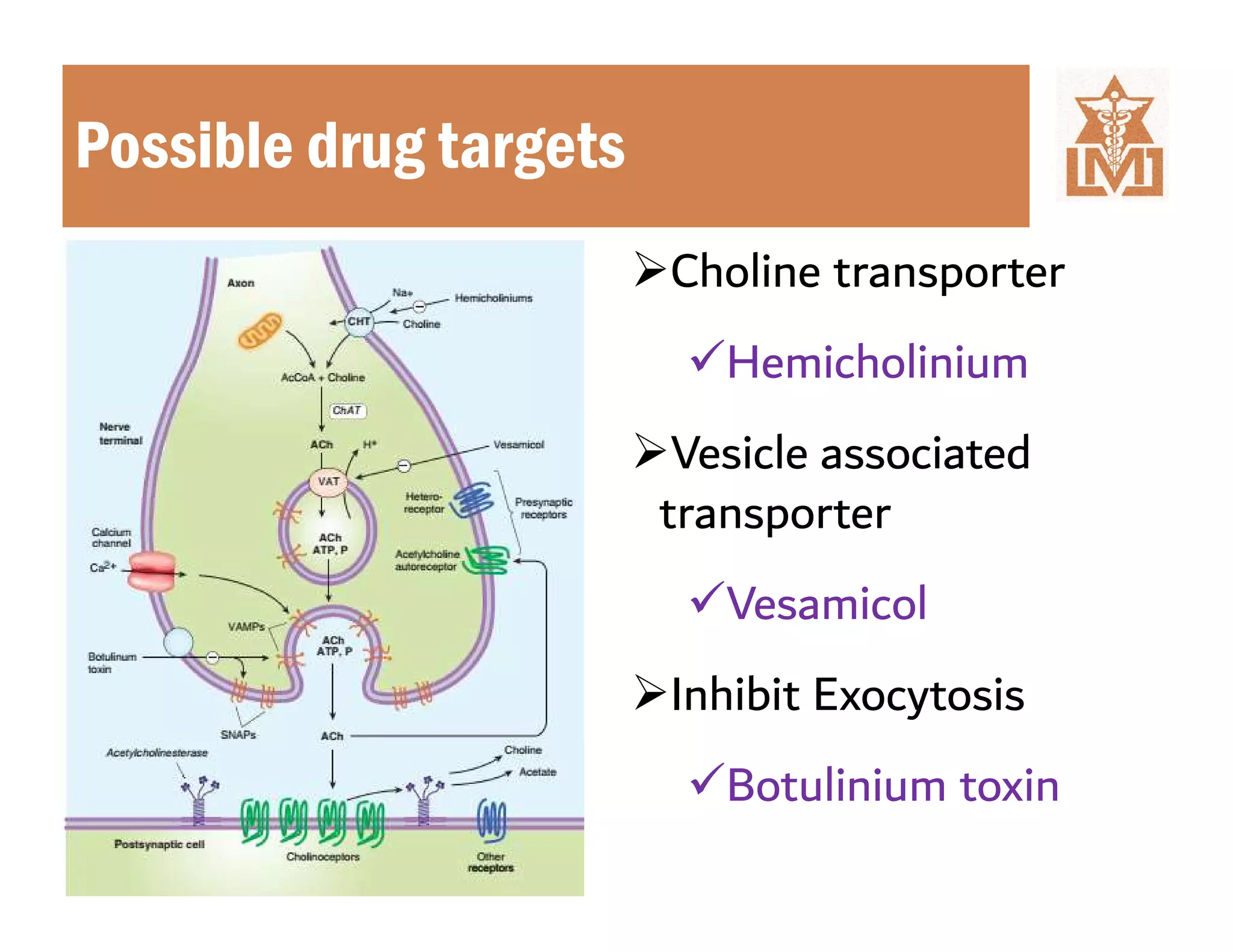 Drugs Acting on Cholinergic System 1 | PDF