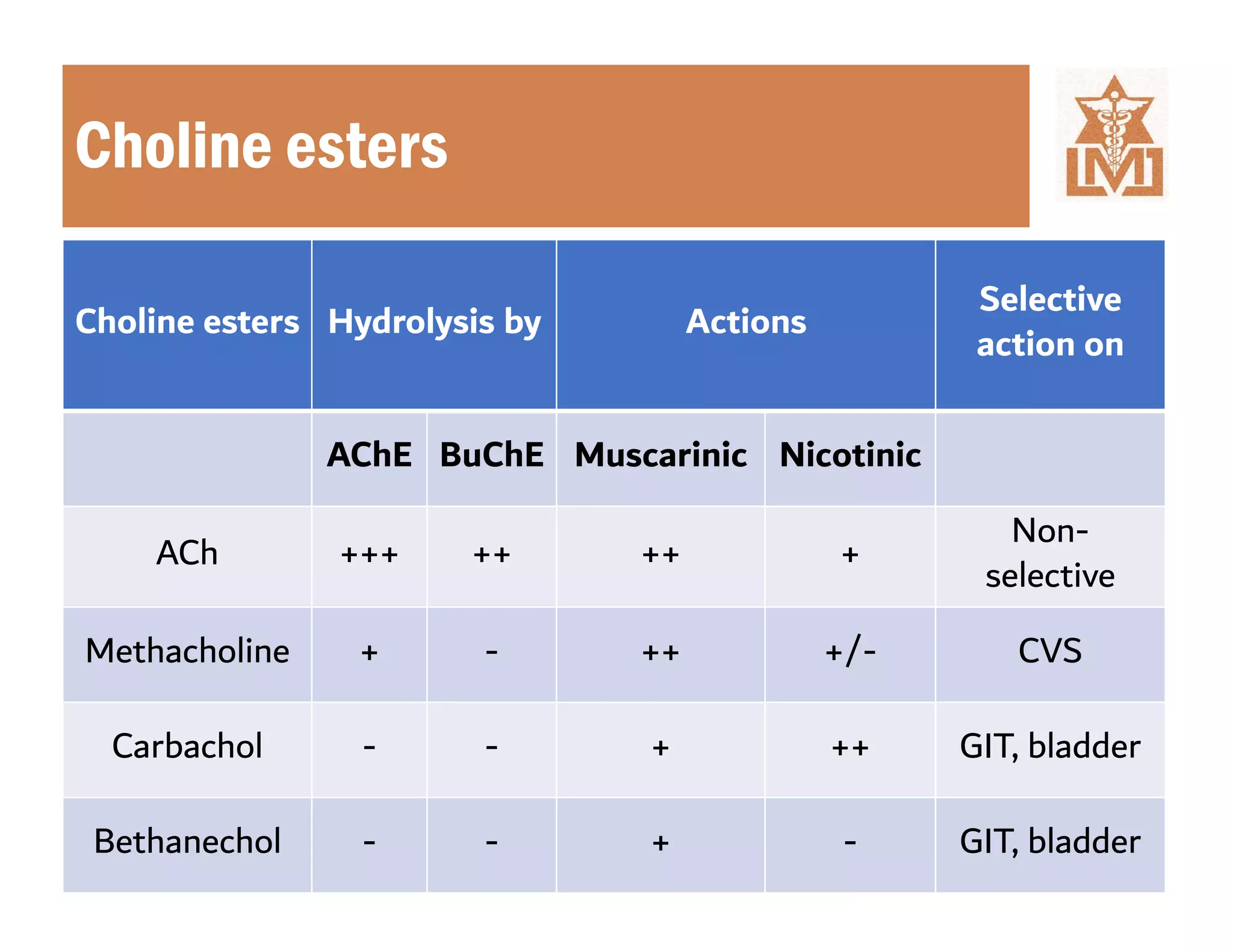 Drugs Acting on Cholinergic System 1 | PDF