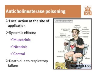 Drugs Acting on Cholinergic System 1 | PDF