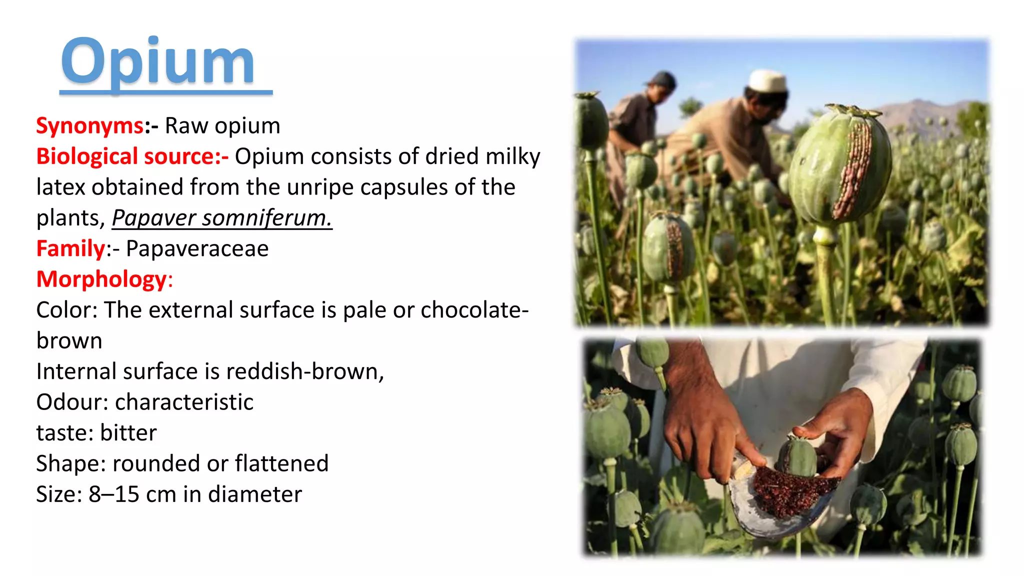 DRUGS ACTING ON CNS.pptx