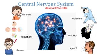 DRUGS ACTING ON CNS.pptx
