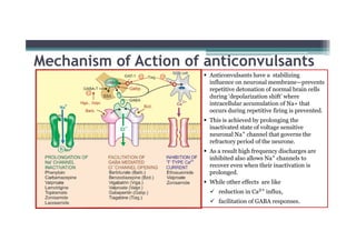 Drugs acting on cns anticonvulsants | PDF | Brain and Nervous System ...