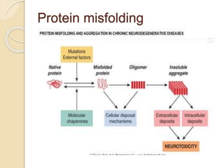 neuro-degenerative disorders | PPT