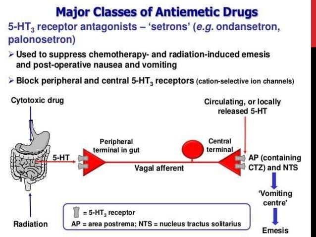 Drugs Acting On GIT (2).pptx Gastrointestinal Tract | PPT