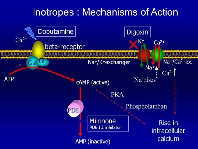 Drugs acting on heart