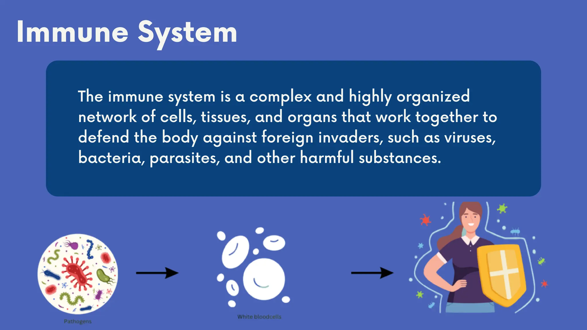 DRUGS ACTING ON THE IMMUNE SYSYTEM PHARMACOLOGY | PDF