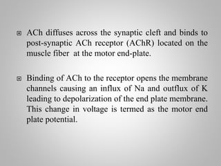 Drugs acting on neuromuscular junnction and Muscle Relaxants | PPTX