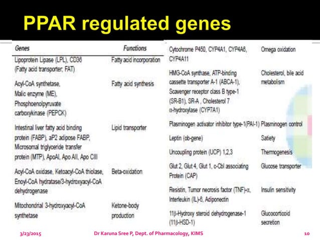 Drugs Acting on PPAR | PDF