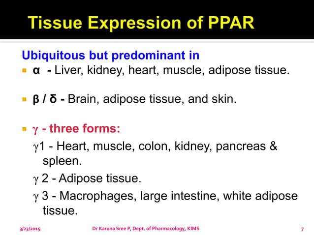 Drugs Acting on PPAR | PDF