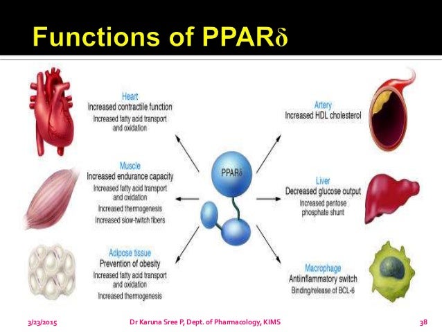 Drugs acting on ppar