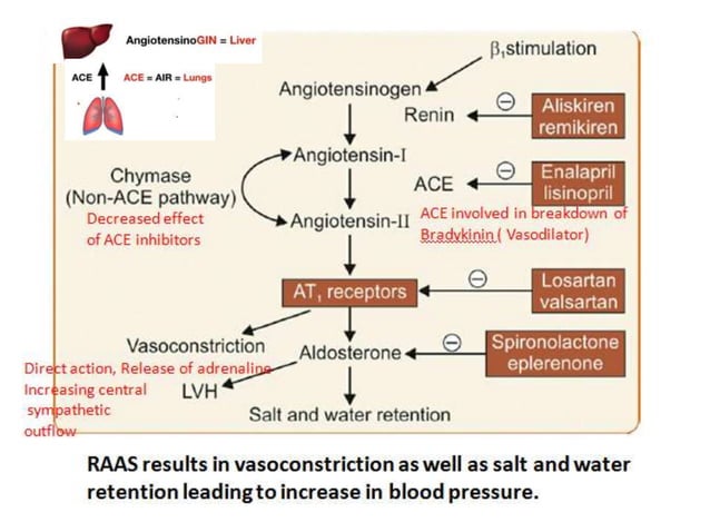 Drugs acting on RAAS.pptx