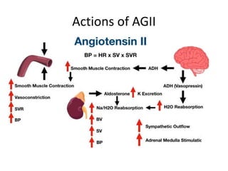 Drugs acting on RAAS.pptx