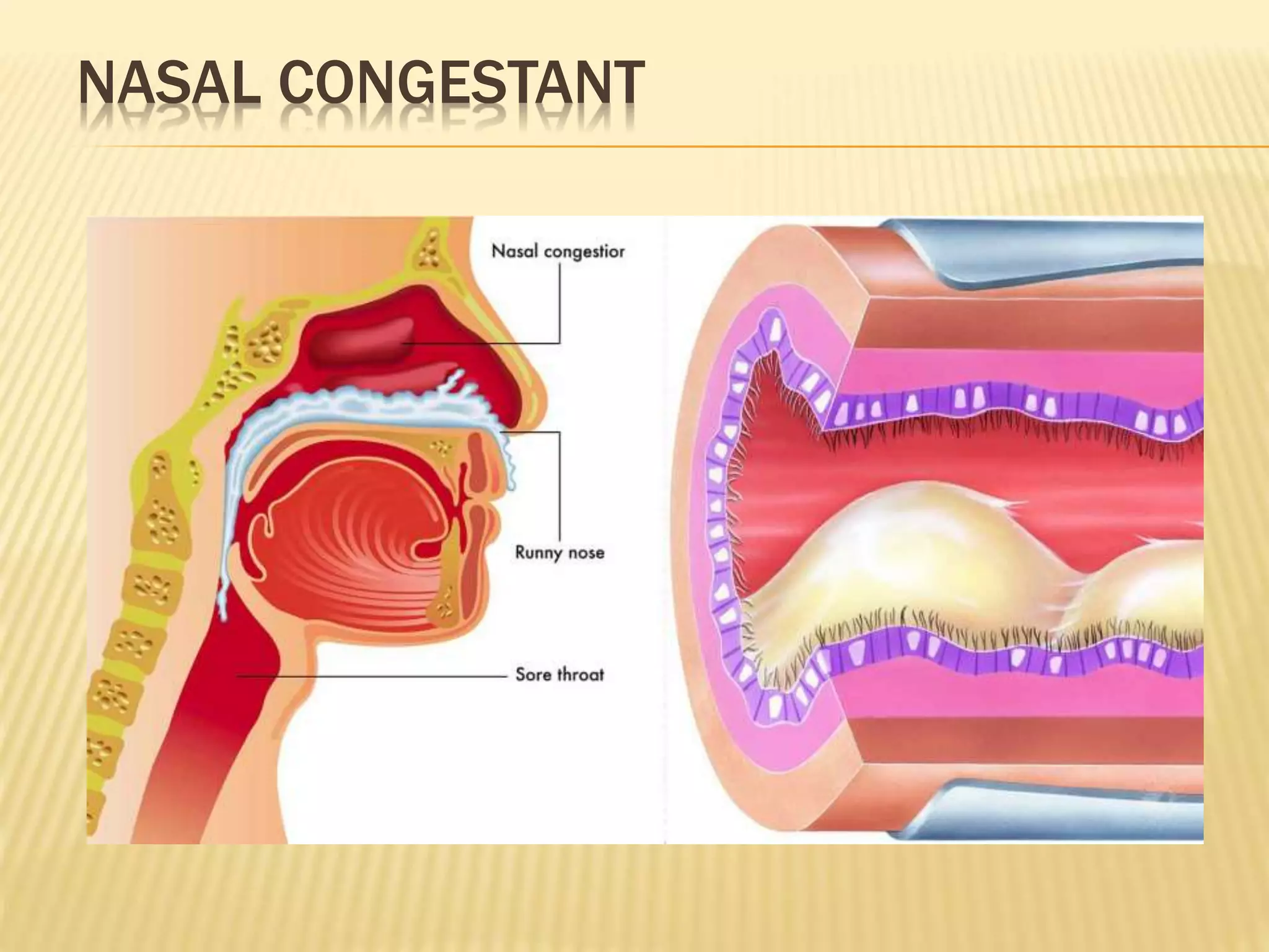 Drugs acting on respiratory system | PPTX