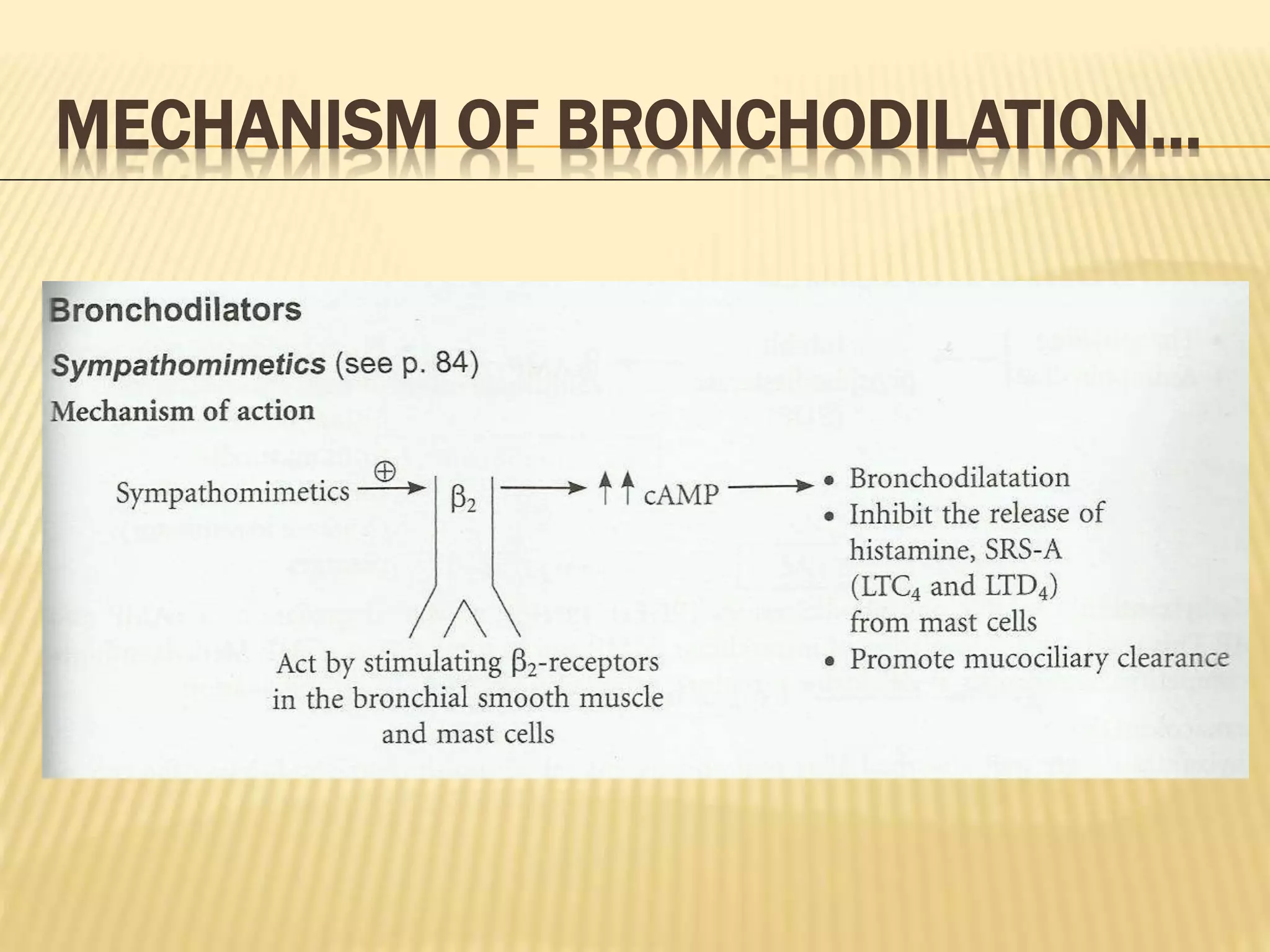 Drugs acting on respiratory system | PPTX