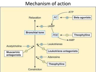 Antiasthmatic drugs.pptx