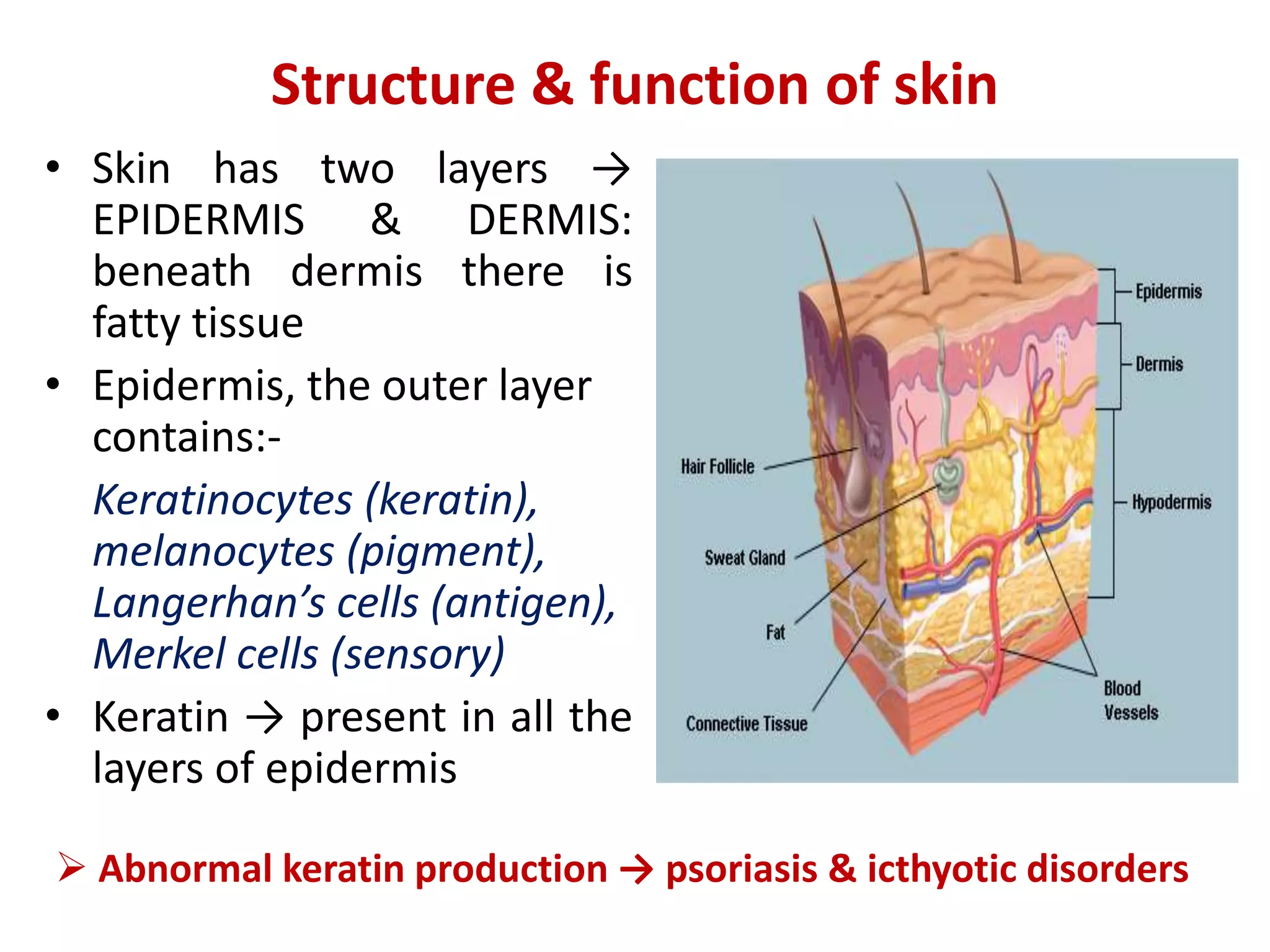 Drugs acting on skin | PPTX