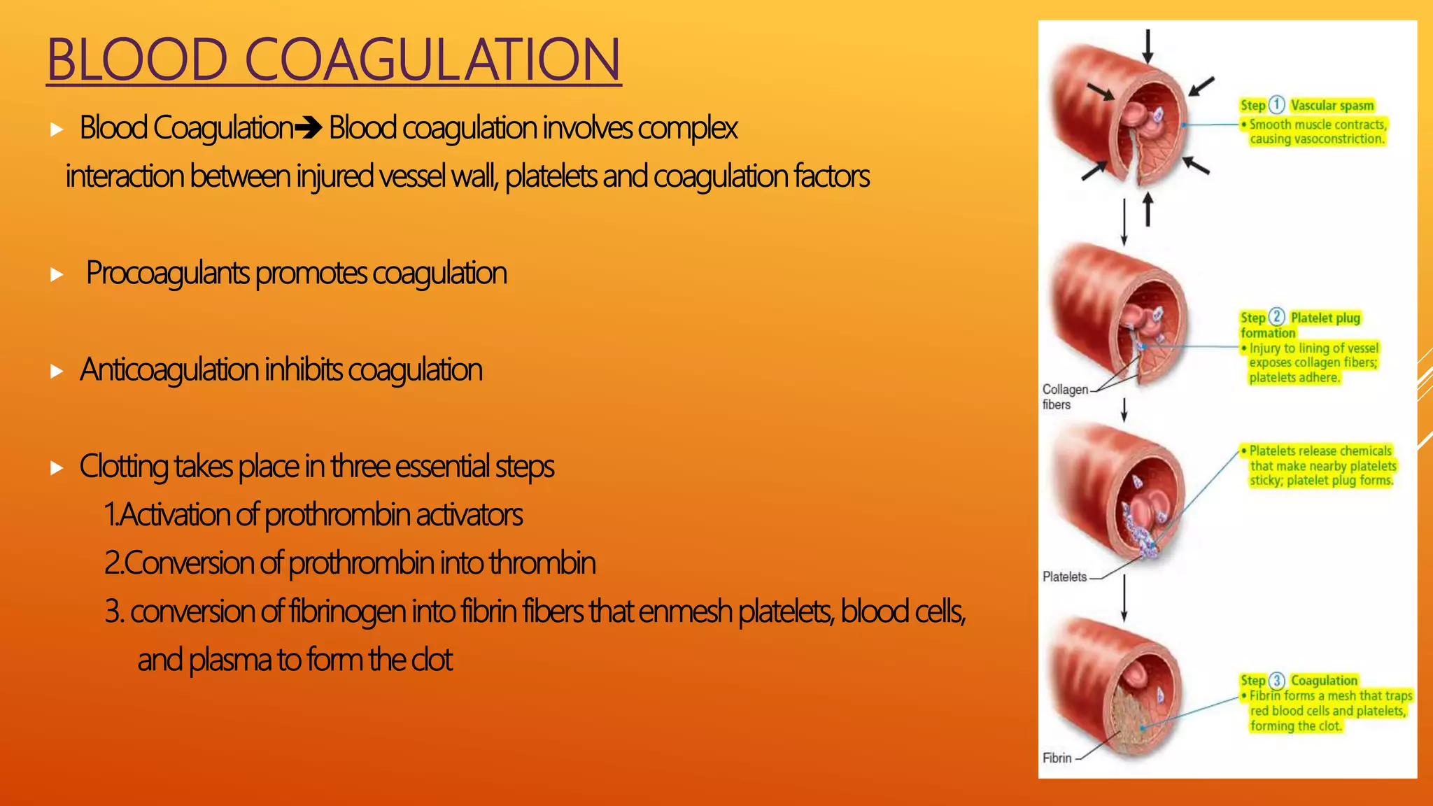 Drugs acting on the blood and blood forming organs | PPTX