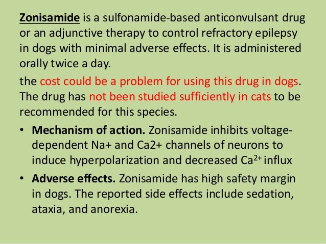Zonisamide Side Effects
