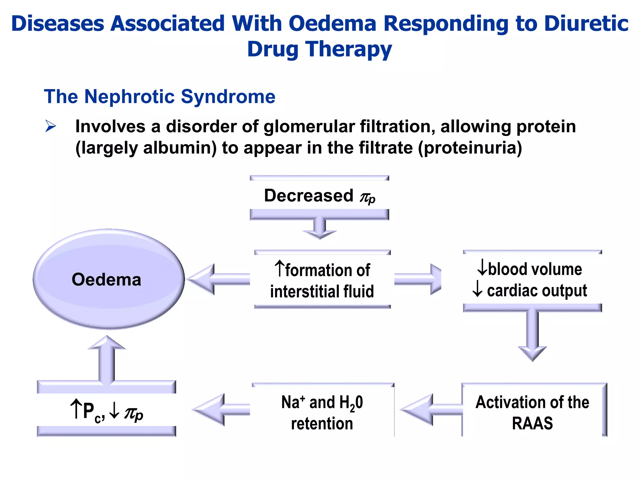 Drugs acting on the kidney lectures 1 and 2 | PDF