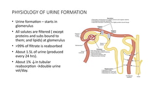 DRUGS ACTING ON THE KIDNEYS - DIURETICS.pptx