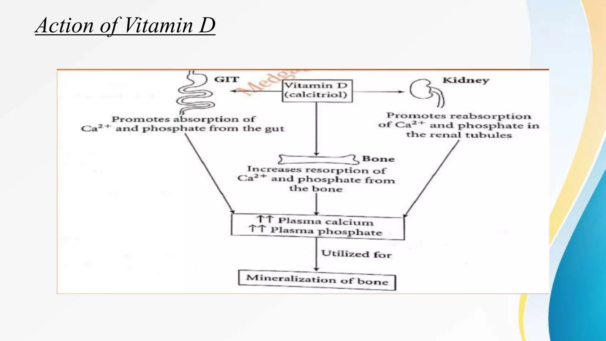 Drugs Affecting Calcium Regulation | Calcium | Calcium Homeostasis | PPTX