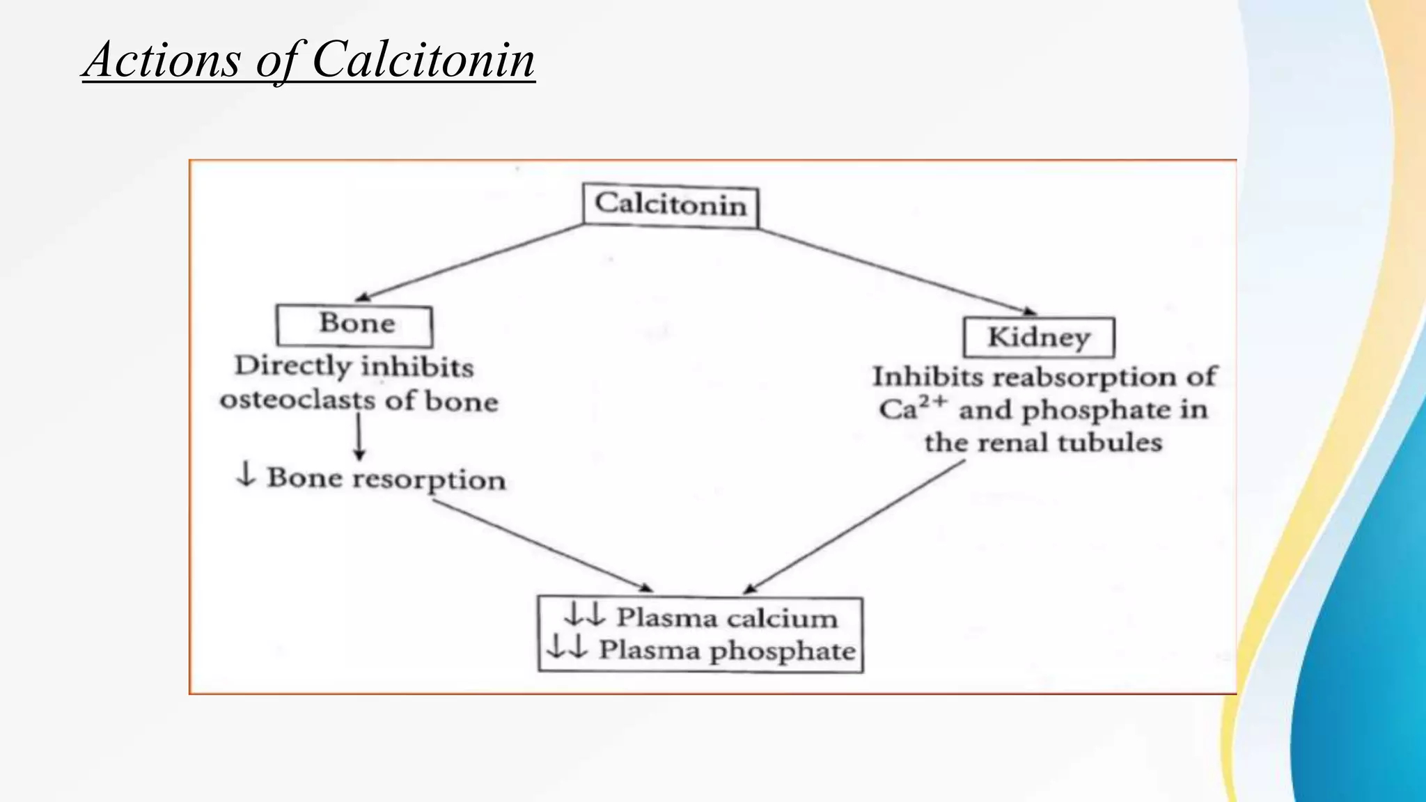 Drugs Affecting Calcium Regulation | Calcium | Calcium Homeostasis | PPTX