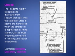 Cardiac Action Potential Drugs