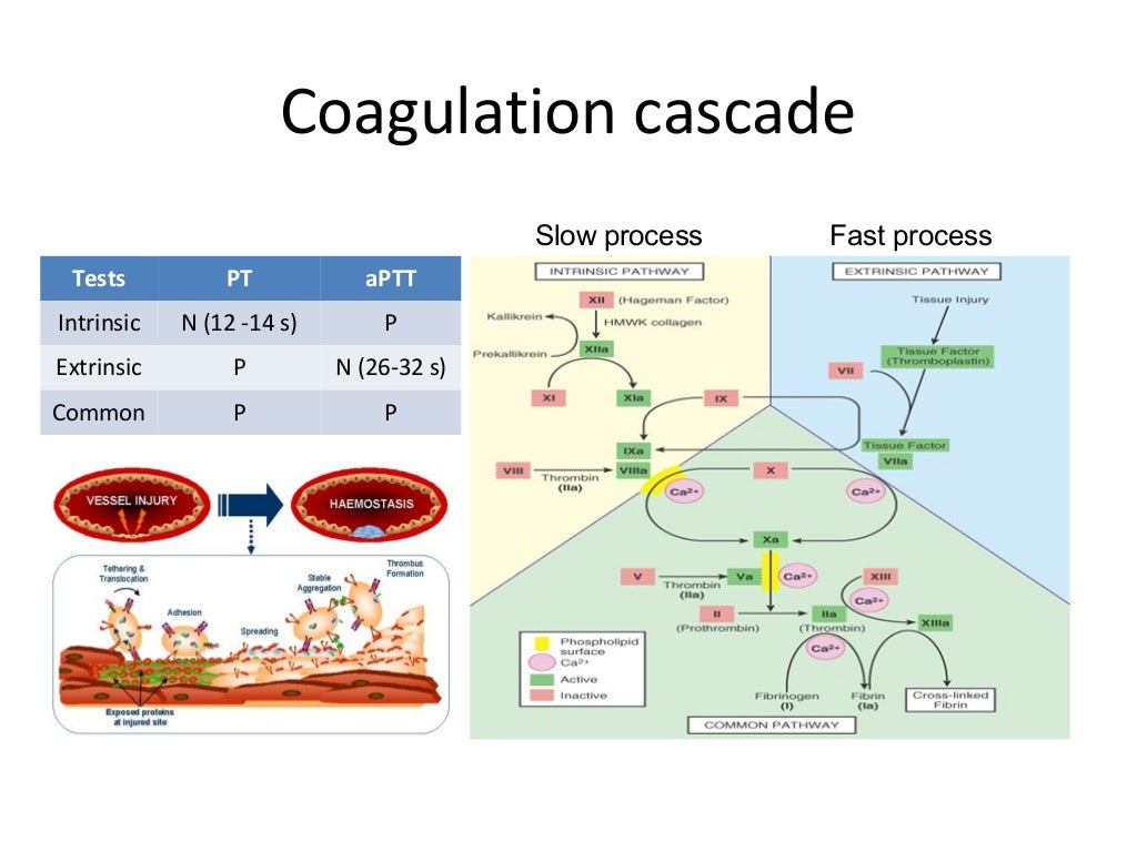 Drugs affecting coagulation and anticoagulants