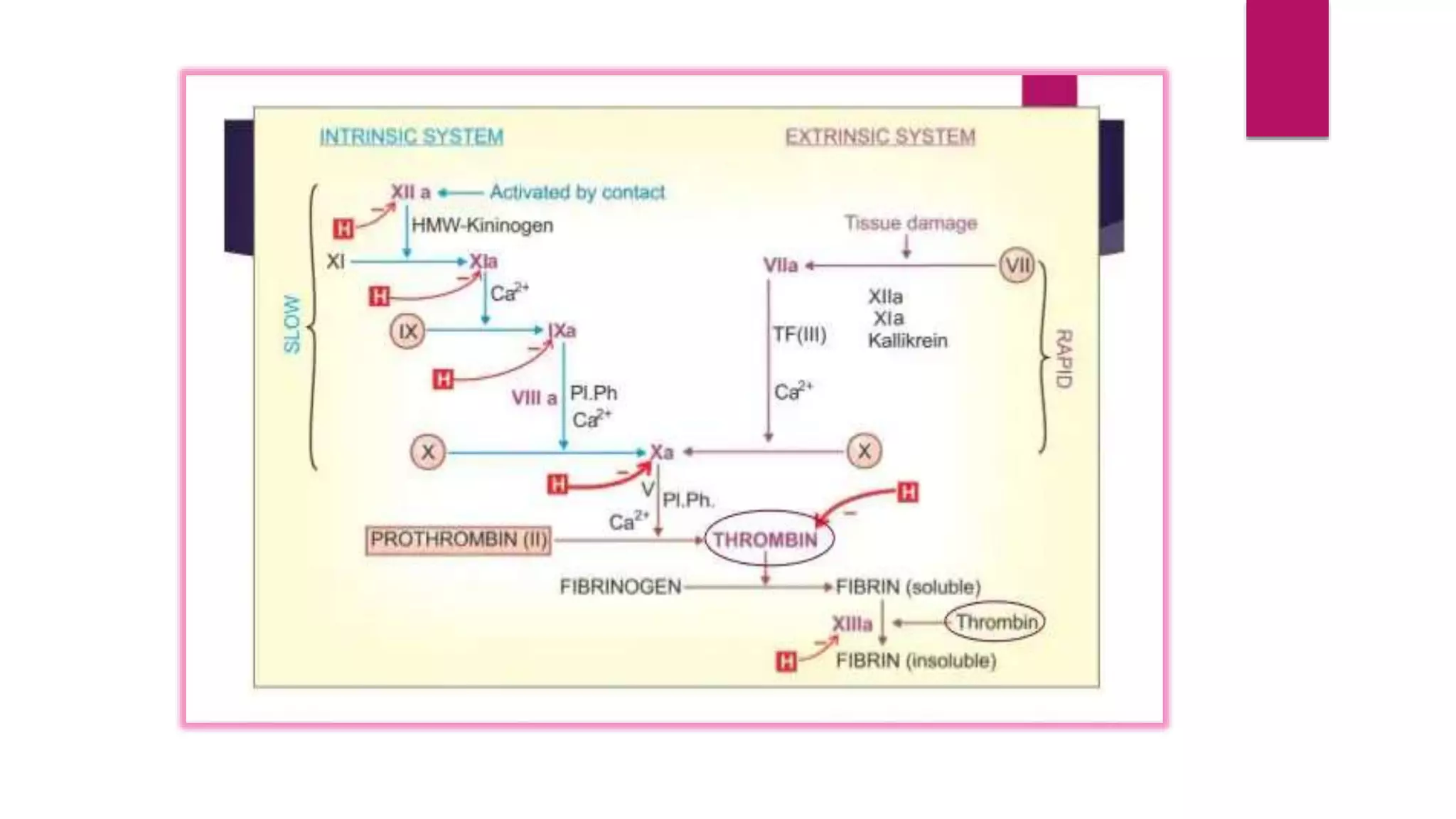 DRUGS AFFECTING COAGULATION,BLEEDING AND THROMBOSIS.pptx