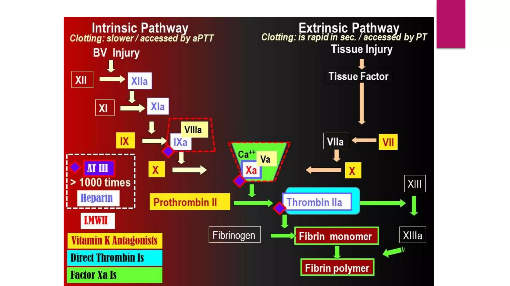 DRUGS AFFECTING COAGULATION,BLEEDING AND THROMBOSIS.pptx
