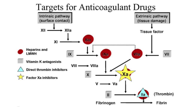 DRUGS AFFECTING COAGULATION,BLEEDING AND THROMBOSIS.pptx | Blood ...