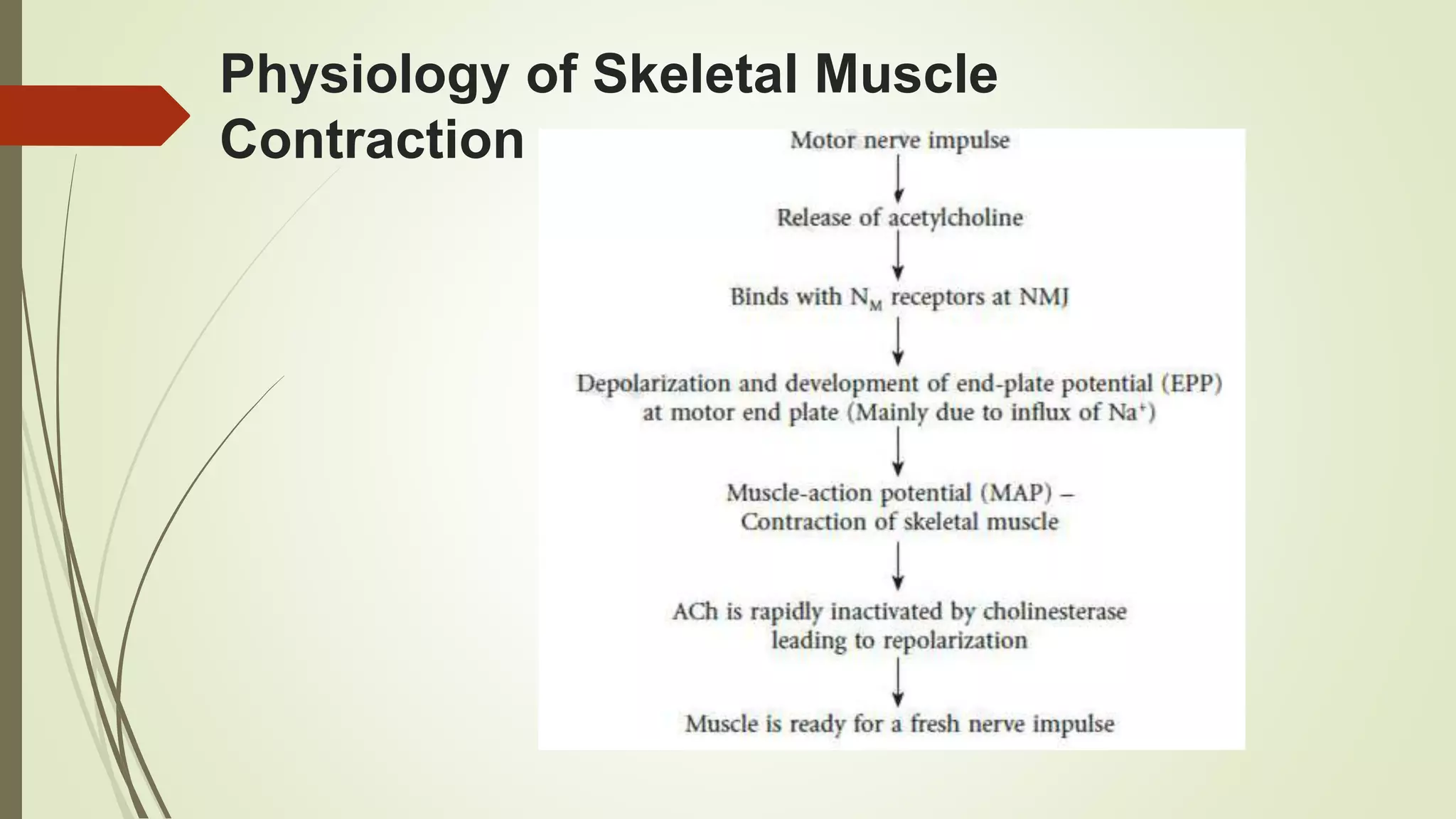 DRUGS AFFECTING SKELETAL MUSCLES.pptx