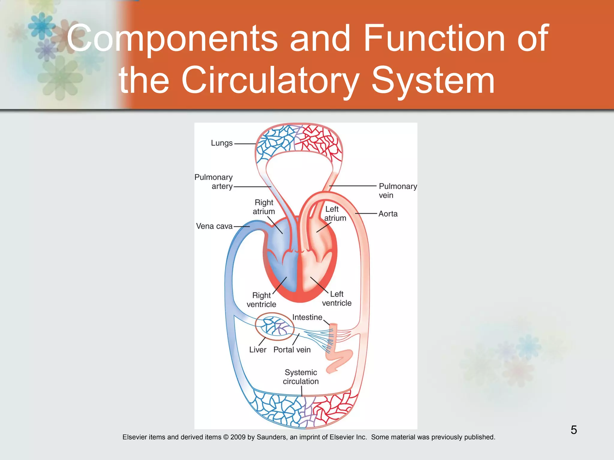 Drugs affecting the circulatory system | PPT