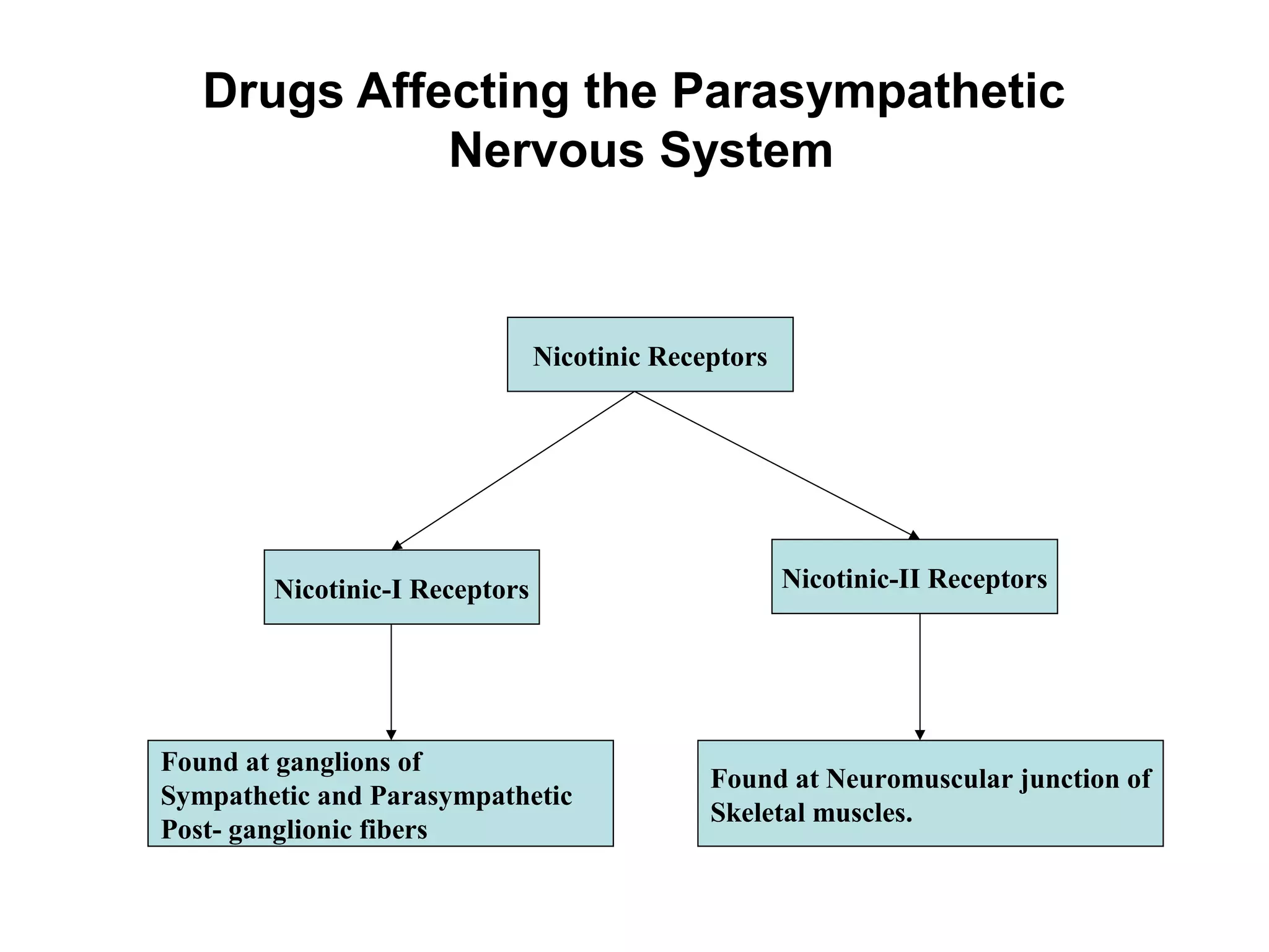 Drugs affecting the_parasympathetic_nervous_system | PPT