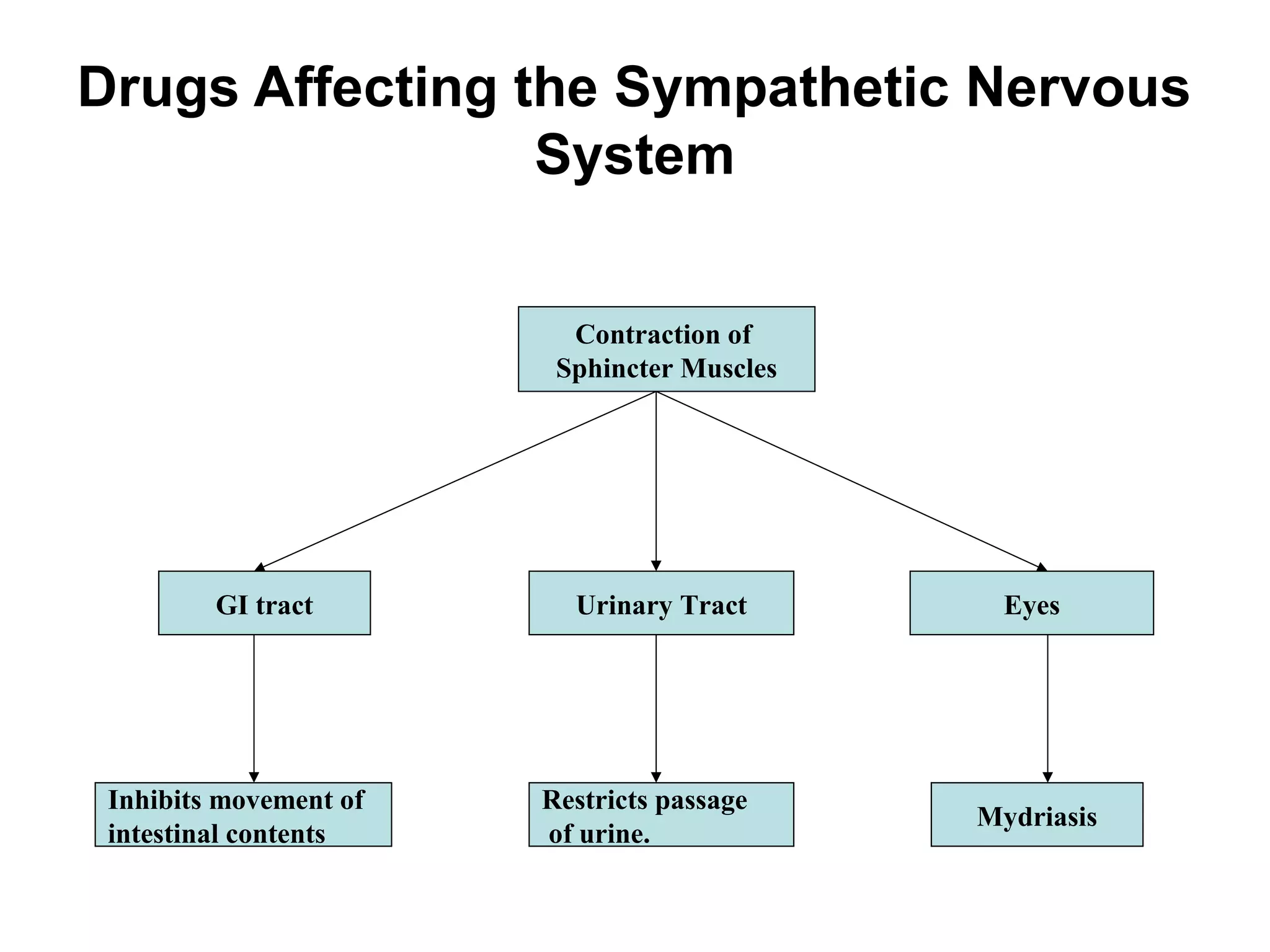 Drugs affecting the_sympathetic_nervous_system | PPT